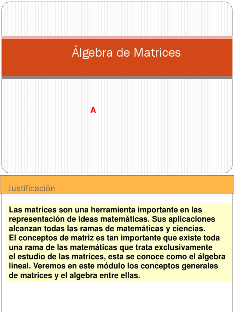 Algebra de Matrices DIAPOSITIVAS | PDF | Determinante | Matriz ...