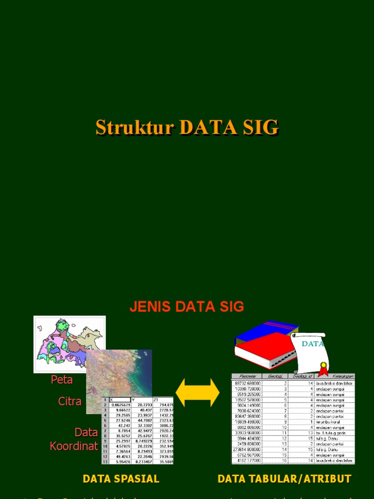 Struktur Data SIG | PDF