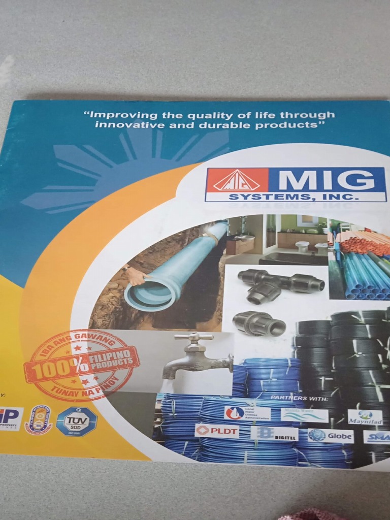 MIGS System Inc | PDF