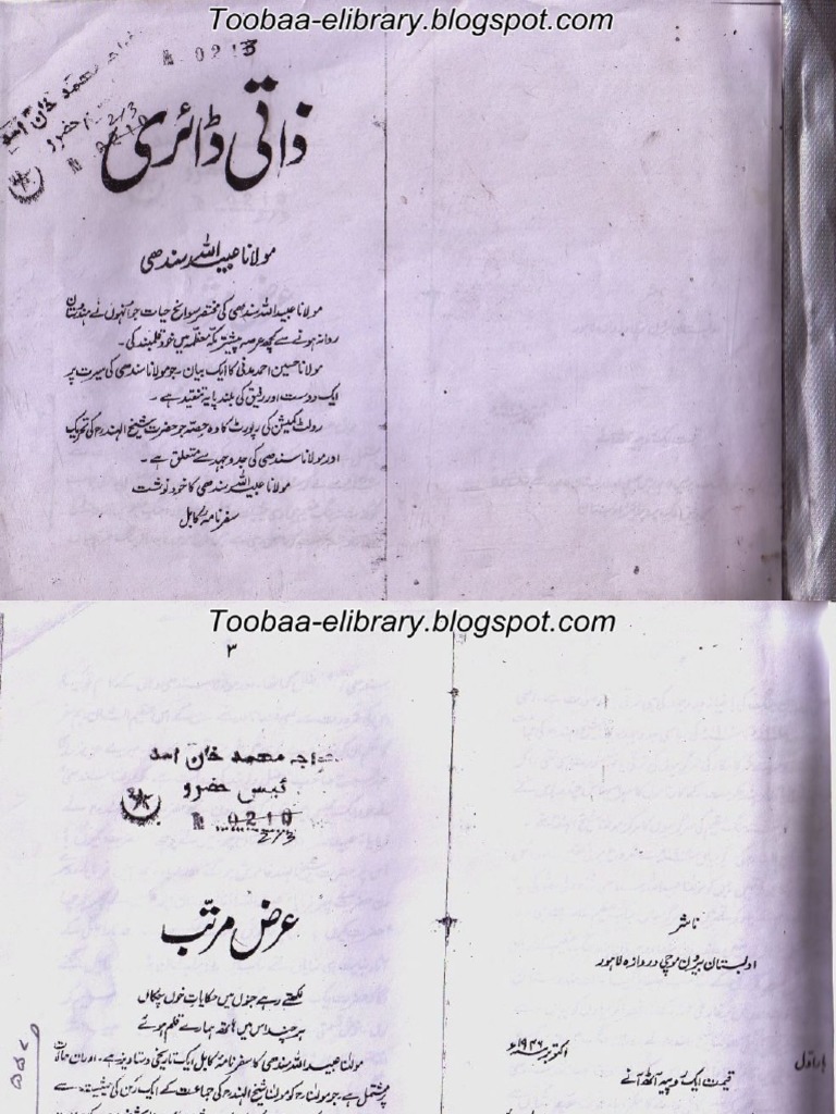 Zati Dairy PDF | PDF