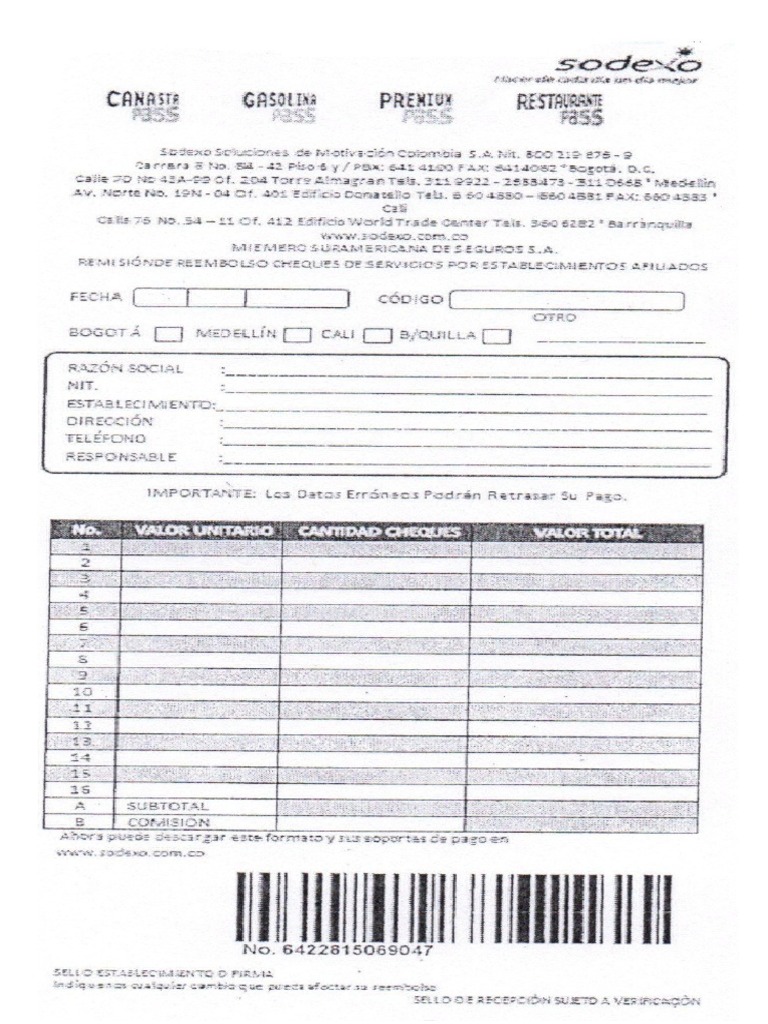 Formato Bonos Big Pass - Sodexo | PDF