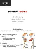 Metaneuron Manual | PDF | Inhibitory Postsynaptic Potential | Membrane ...