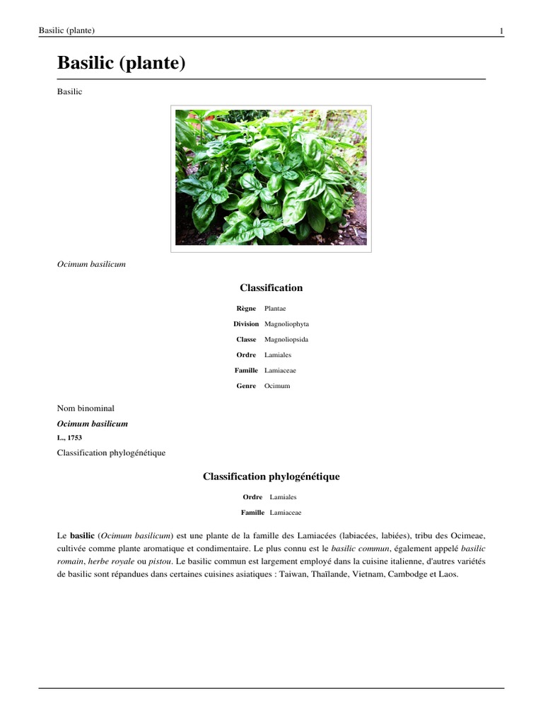 Sitemapcdatahttpsmodeinf Inetcomtuteur Plante Original