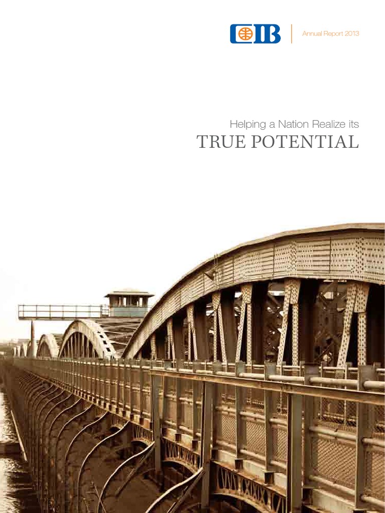 CIB Annual Report 2013 | PDF | Financial Services | Corporations