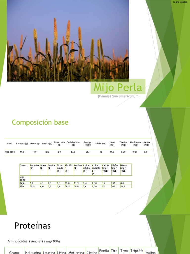 Composición Química Del Mijo Perla | PDF | Proteínas | Comida y bebida