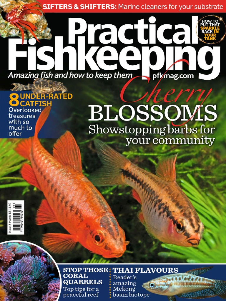 Practical Fishkeeping 2018-03 PDF | PDF | Fishkeeping | Aquarium