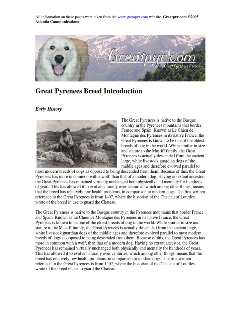 Great Pyrenees Breed Introduction: Early History | PDF | Dog Breeds ...