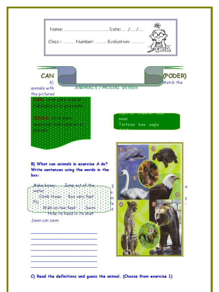 Animal Abilities and Vocabulary Exercise | PDF | Language Arts ...