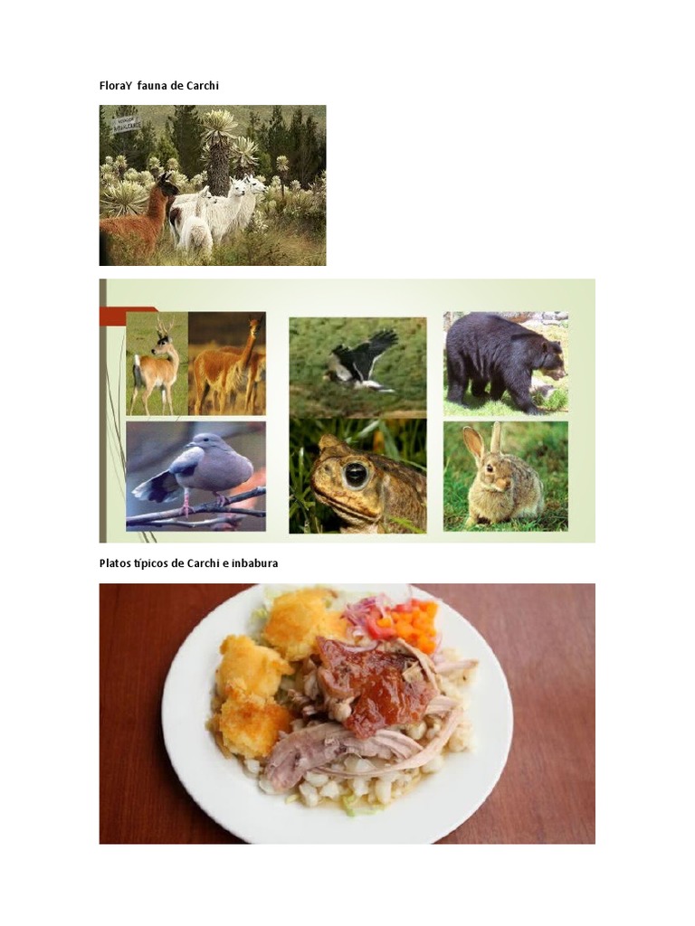 FloraY Fauna de Carchi | PDF