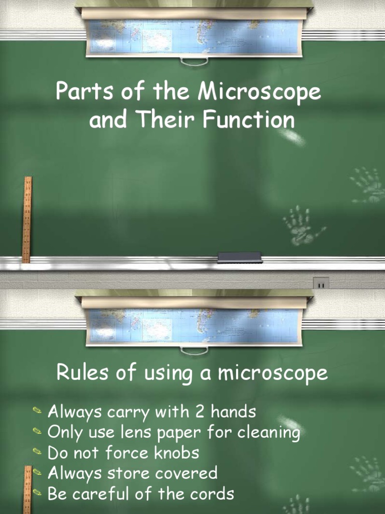 Microscope Presentation Pdf