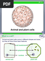 7es Lesson Plan Template PDF | PDF | Teaching | Pedagogy