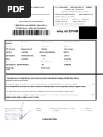 Formato Incapacidad Imss Editable Word | PDF