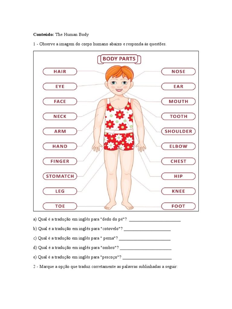 7 Ano Human Body | PDF