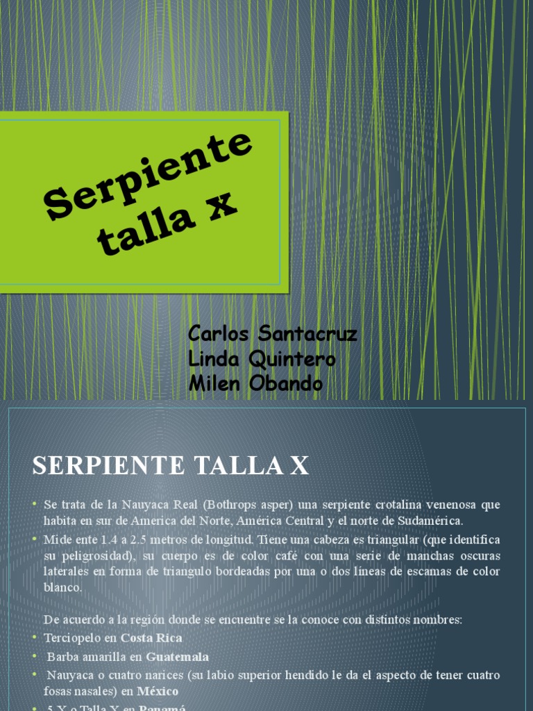 Serpiente Talla X | PDF | Epidemiología | Medicina