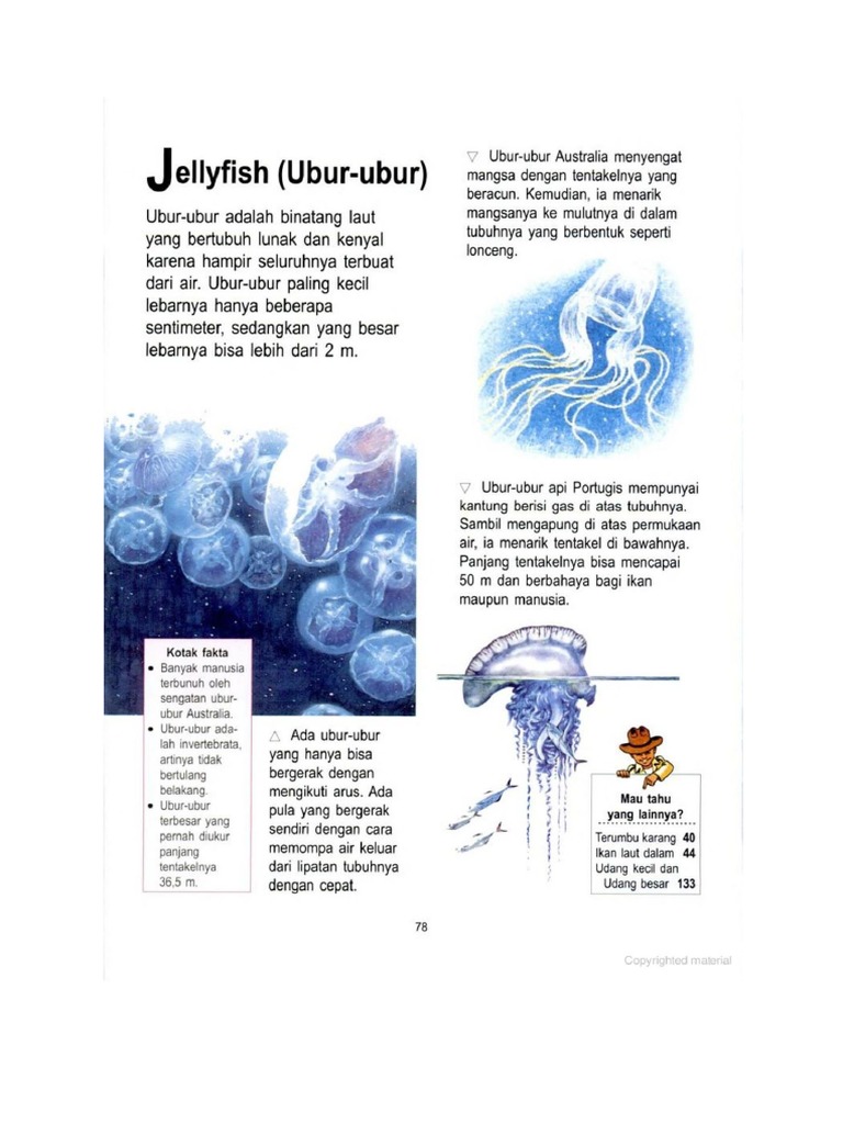 Ubur Ubur PDF | PDF
