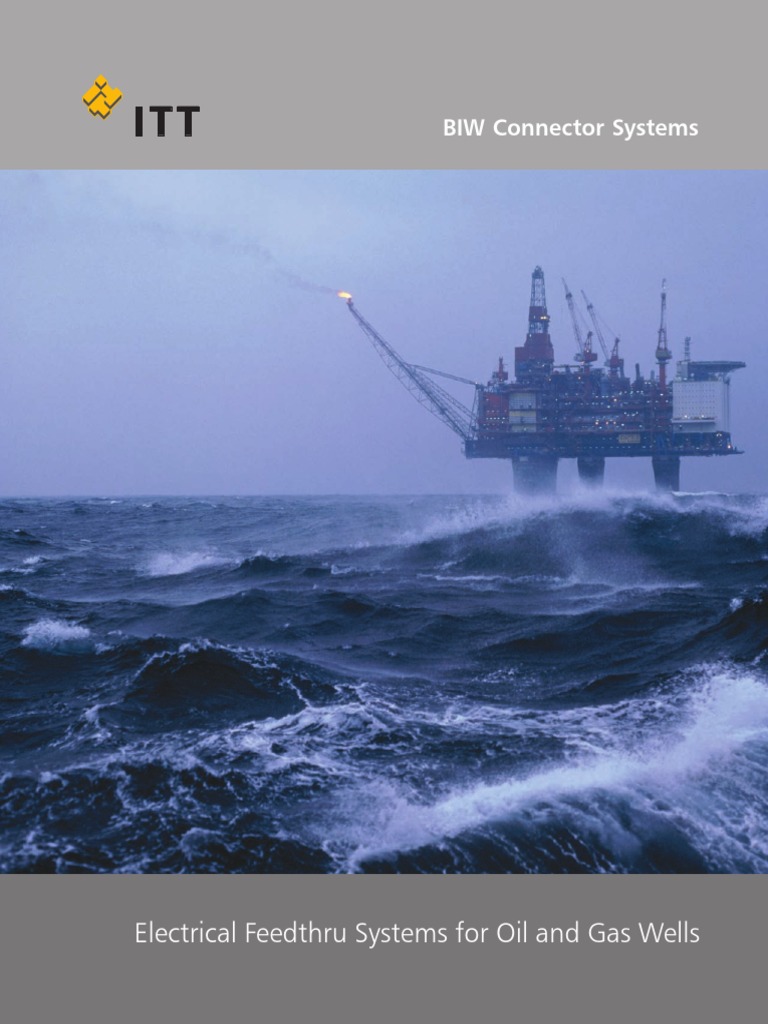 BIW Feedthru | PDF | Electrical Connector | Pipe (Fluid Conveyance)