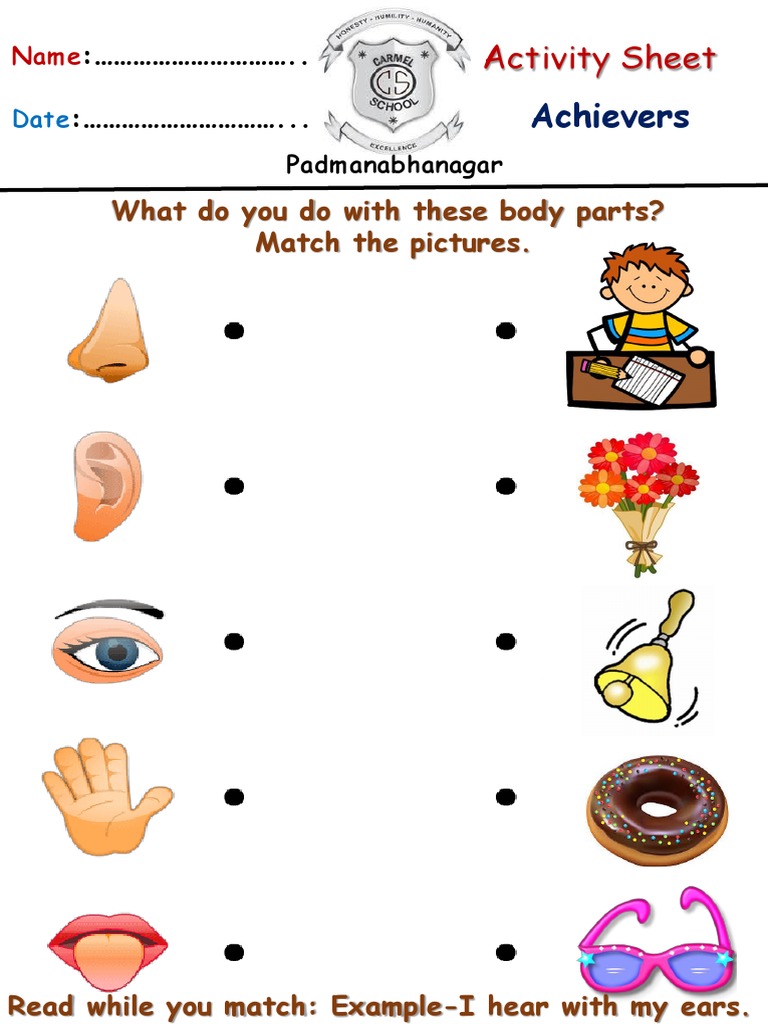 Parts-of-the-body-Achievers - UKG | PDF | Home & Garden