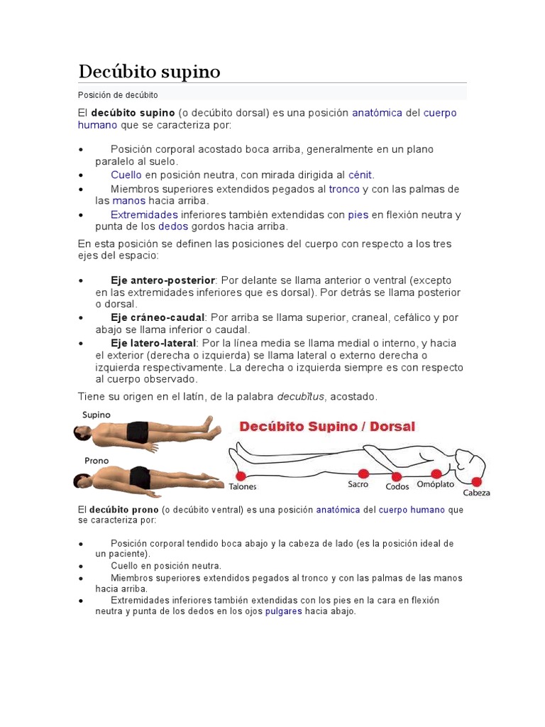 Decúbito Supino Anatomia : Decubito Supino: Tratamiento para OSAS y ...