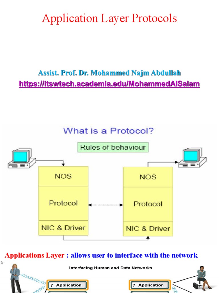 Application Layer Protocols | PDF | Domain Name System | World Wide Web