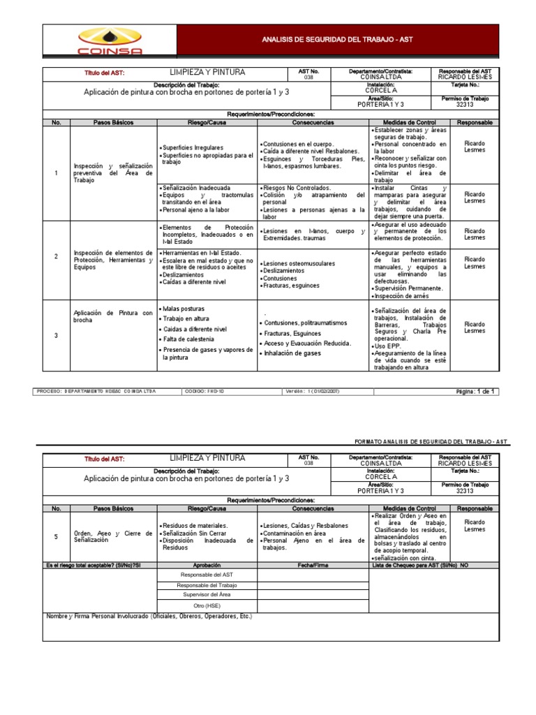 AST Aplicacion de Pintura en POrton | PDF | Naturaleza