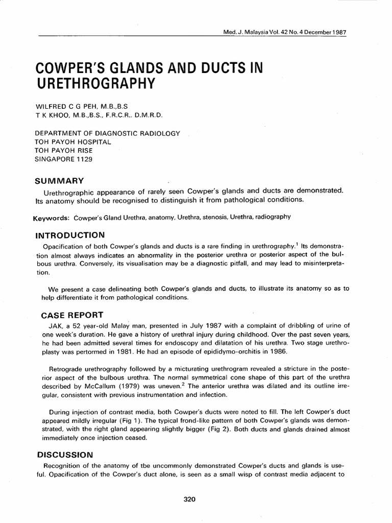 Cowper'S Glands and Ducts in Urethrography | PDF | Mammal Reproductive ...