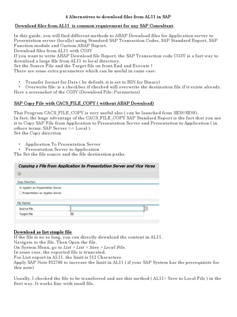 4 Alternatives To Download Files From AL11 in SAP | PDF | Computer File ...
