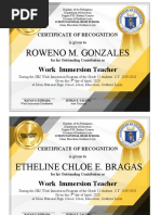 Sample Work Immersion Certificate | PDF