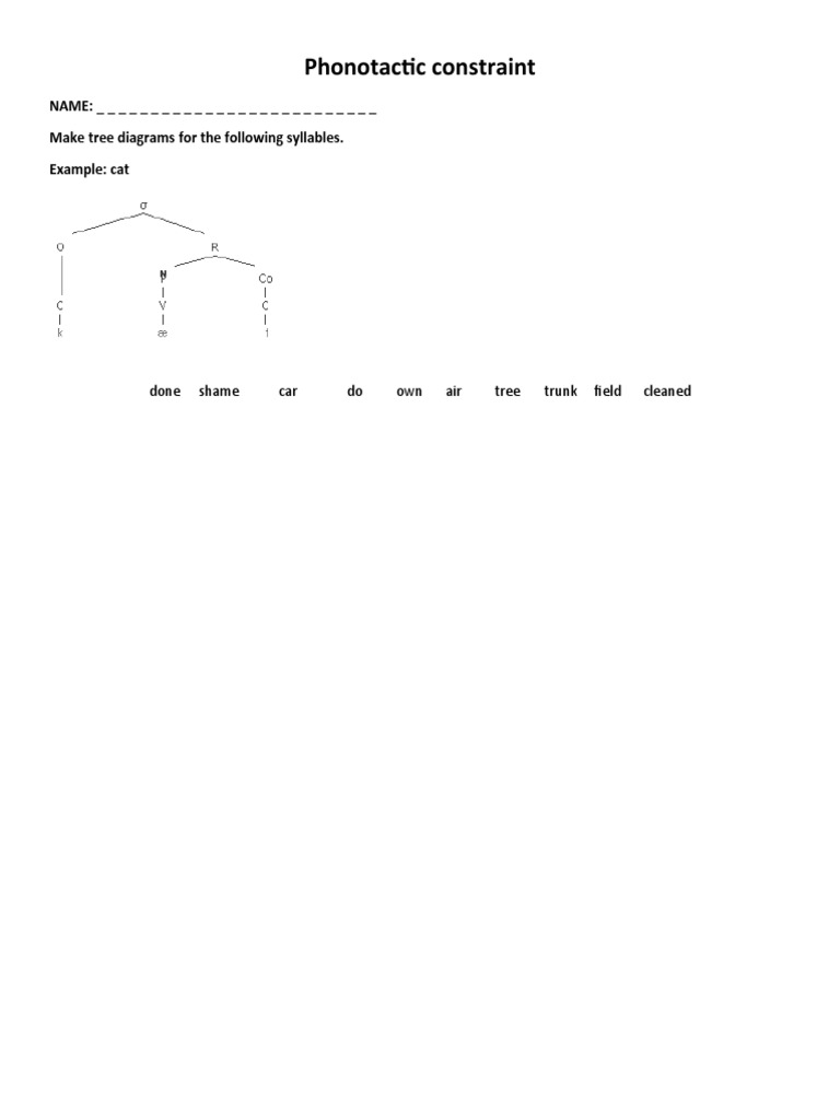 Phonotactic Constraint Practice | PDF