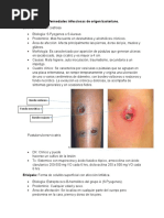 Guía Completa sobre Piodermitis | PDF | Septicemia | Enfermedades y ...