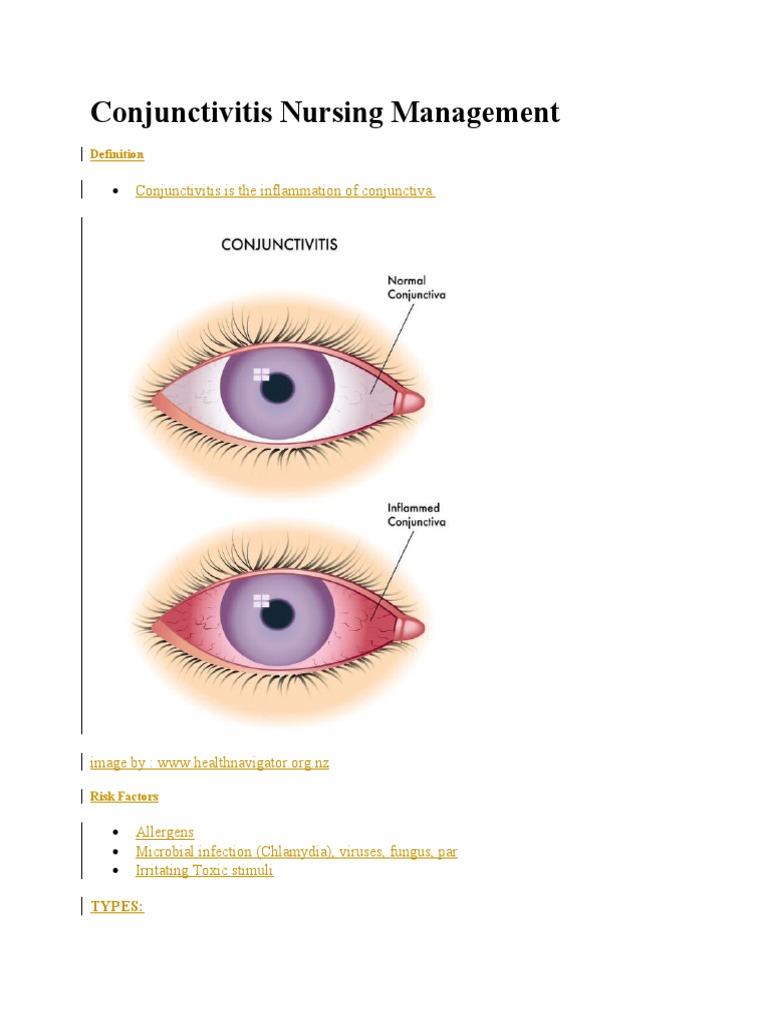 Nursing Care Plan for Conjunctivitis | PDF | Public Health | Microbiology