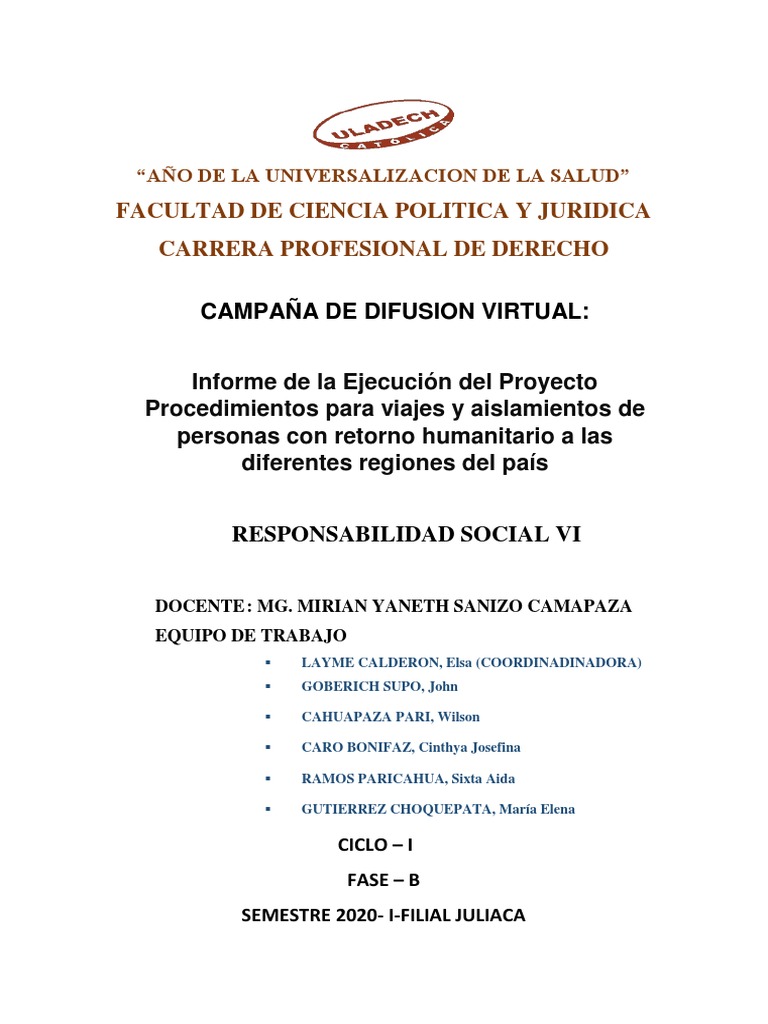 Ejecucion Del Proyecto RRSS PDF | PDF