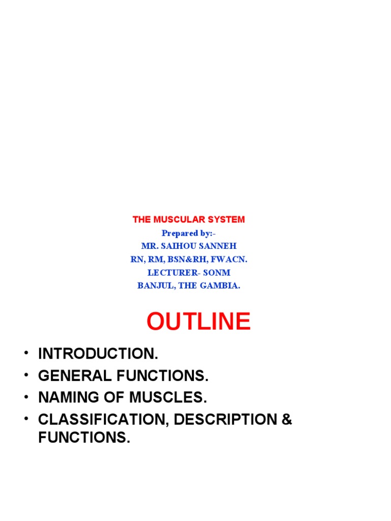 Muscle Anatomy for Nursing Students | PDF | Human Leg | Arm