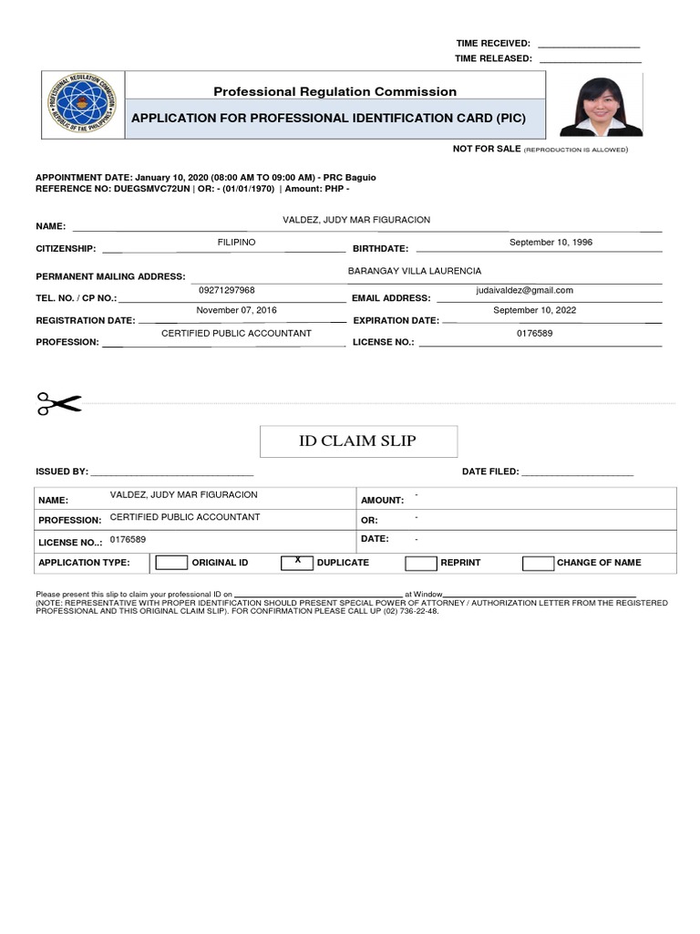 Application for a Professional Identification Card | PDF | Government ...
