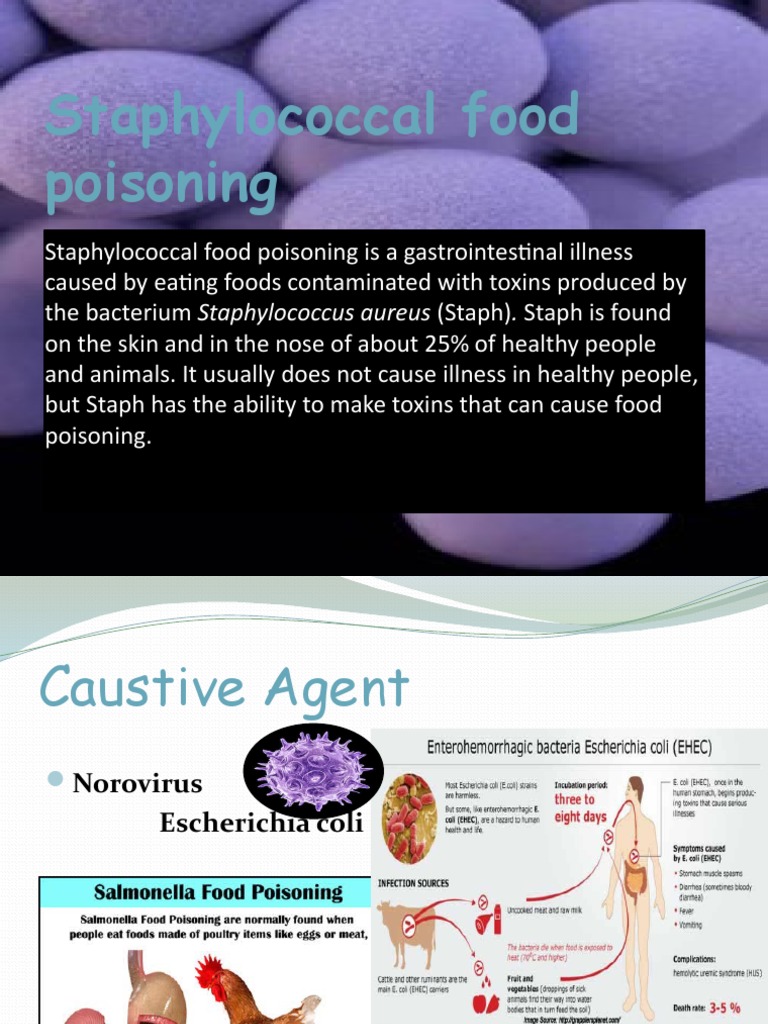 Staphylococcal Food Poisoning Overview | PDF | Diarrhea | Foodborne Illness
