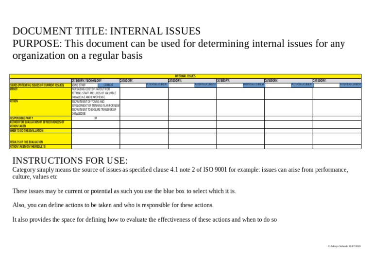 INTERNAL ISSUES Version 1 | PDF