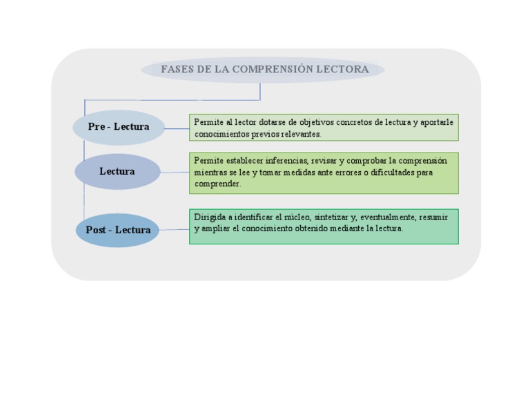 Esquema Fases Comp Lect Isabel Sole | PDF