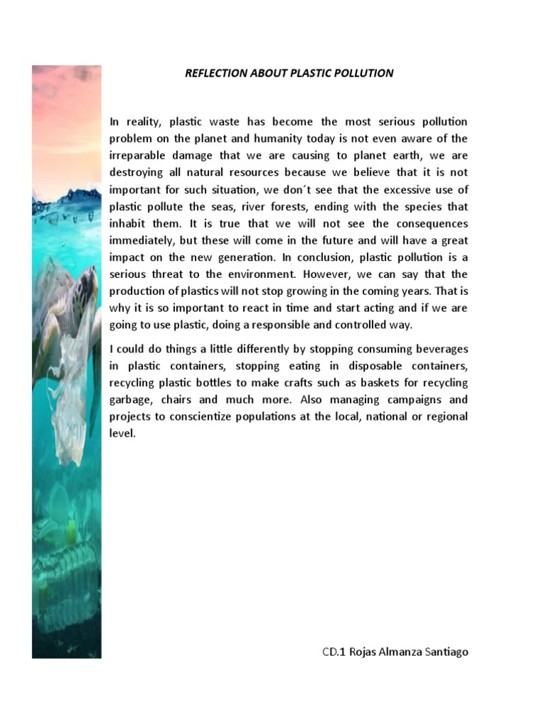 Reflection About Plastic Pollution | PDF