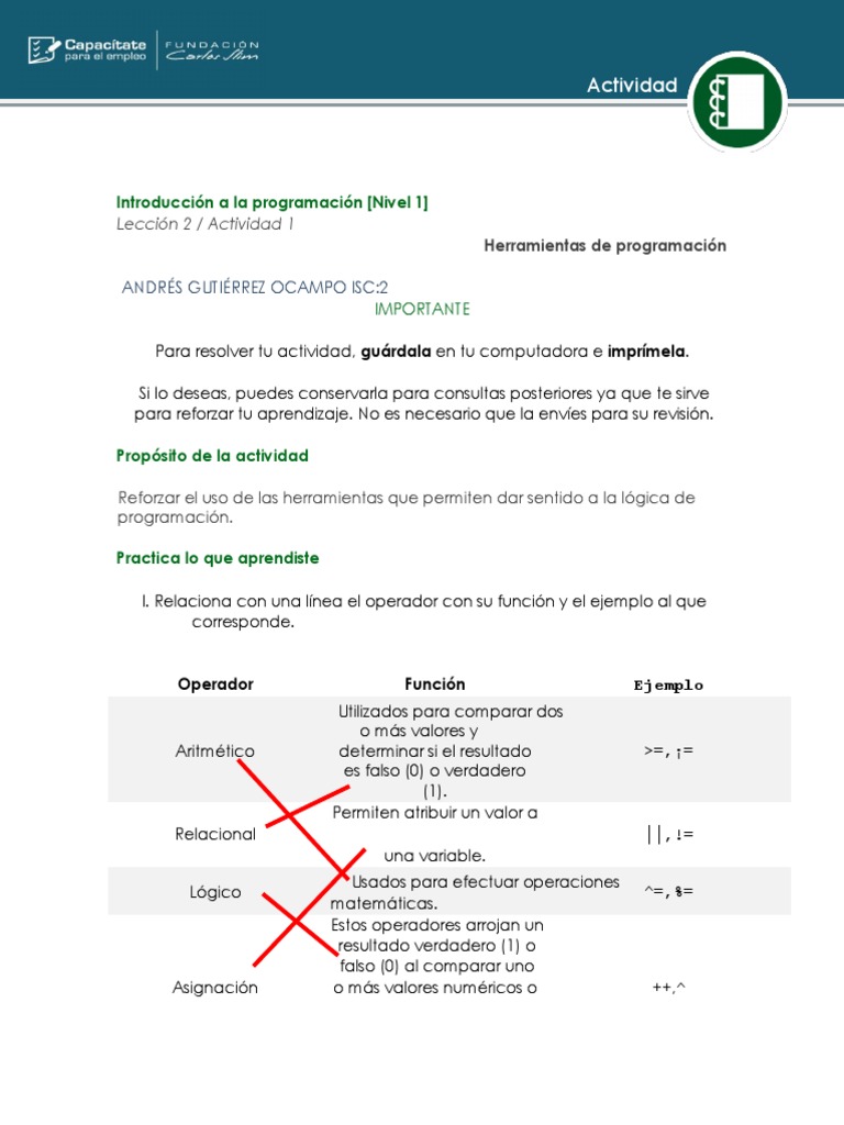 Introducción A La Programación (Nivel 1) | PDF | C ++ | Función ...