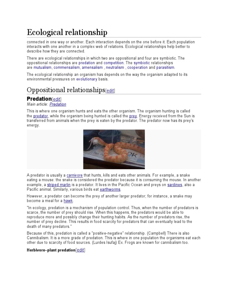 Ecological Relationship: Oppositional Relationships | PDF | Predation ...