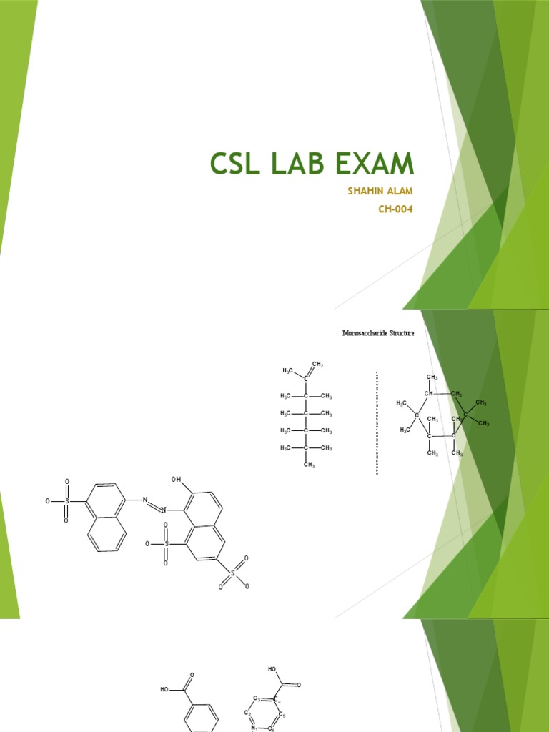 CSL Lab Exam: Shahin Alam CH-004 | PDF