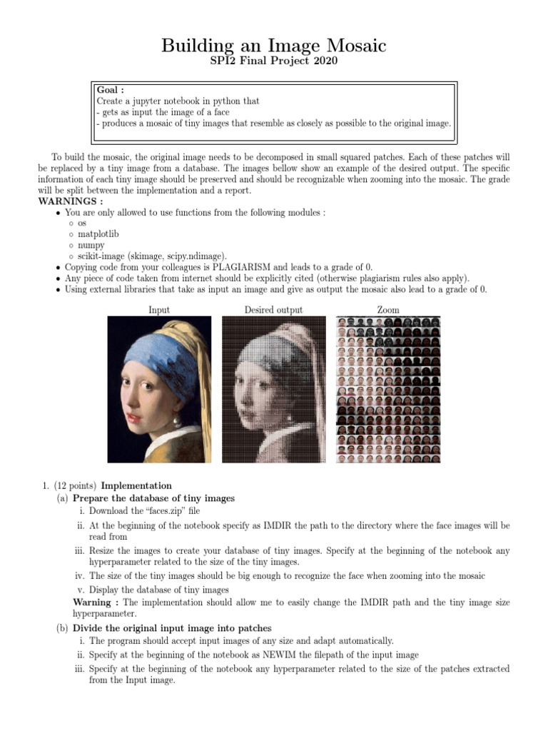 Building Image Mosaic from Face Patches | PDF | Databases | Software