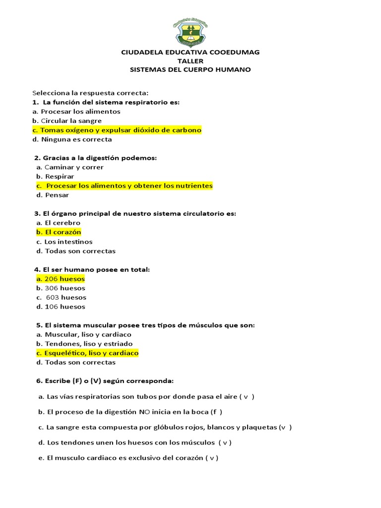 Taller Sistemas Del Cuerpo | PDF