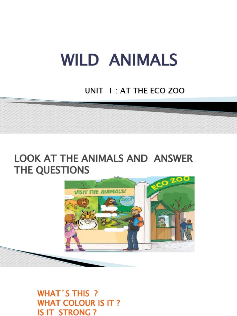 14 4° - Wild Animals - Unit 1 - Powerpoint | PDF | Wellness