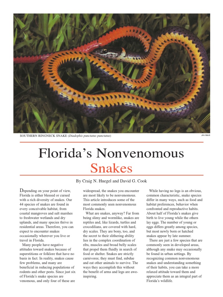 Nonvenomous Snake Guide | PDF | Snake | Rattlesnake