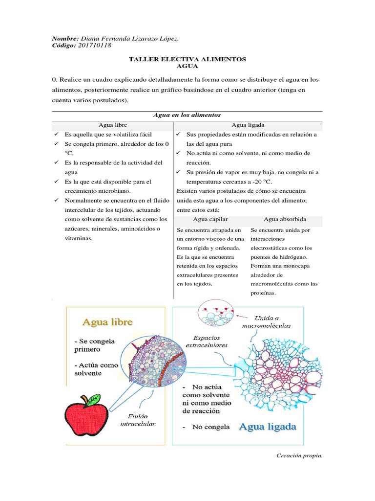 Distribución del Agua en Alimentos | PDF | Enzima | Agua