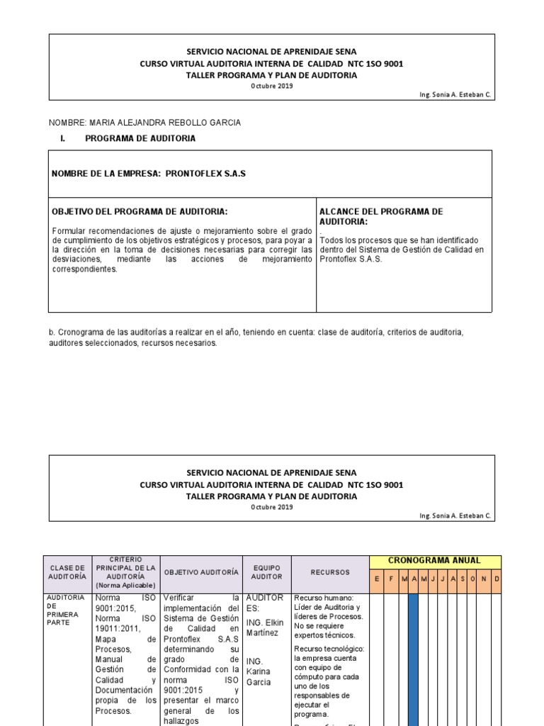 Formato Guia Programa y Plan de Auditoria Interna | PDF | Auditoría ...