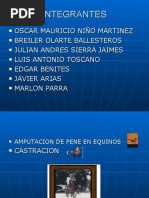 Cistocentesis | PDF | Vejiga urinaria | Ciencias de la Salud