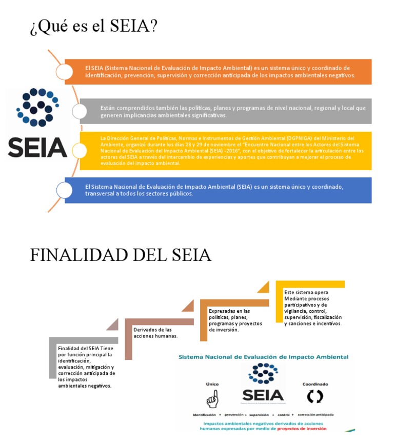 Qué Es El SEIA | PDF