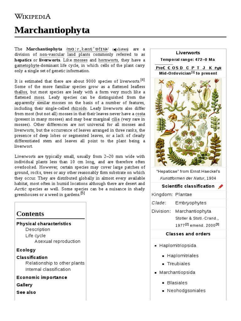 Marchantiophyta: Liverworts Hepatics or Liverworts. Like Mosses and ...