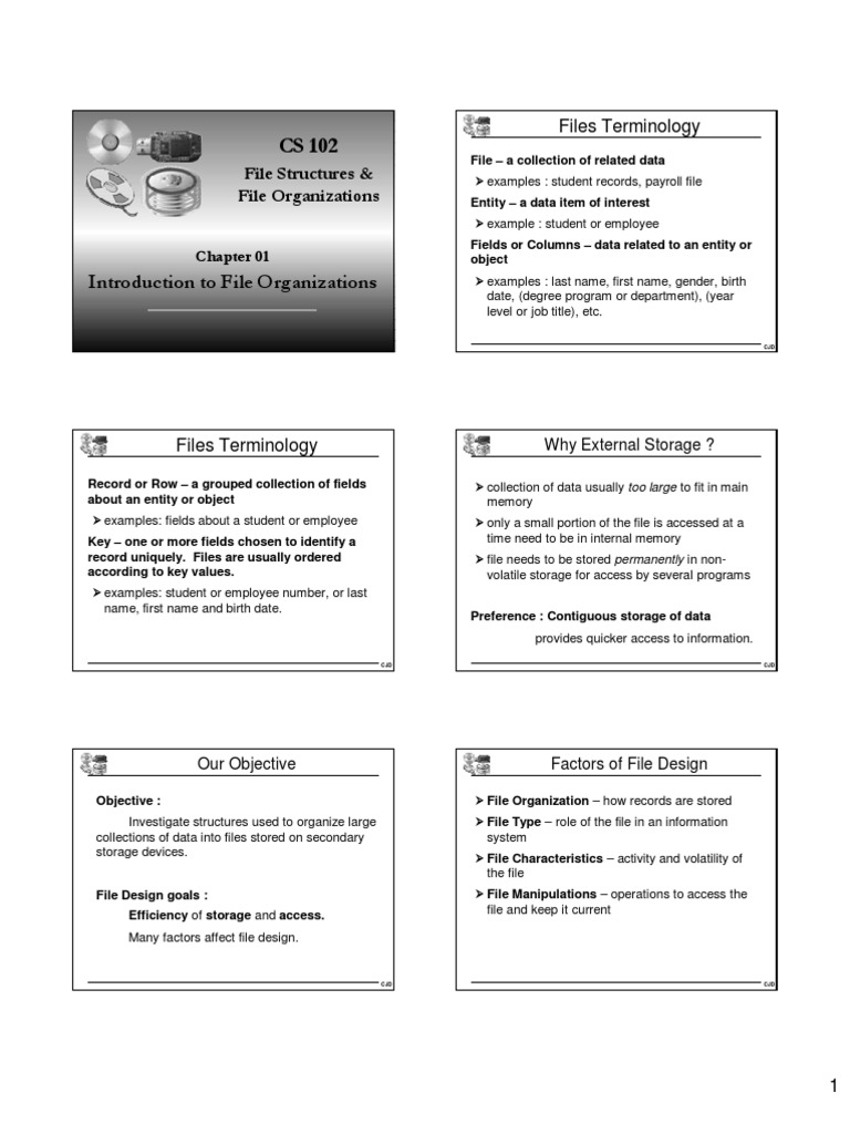Introduction To File Organizations: Files Terminology | PDF | Database Index | Computer Data Storage